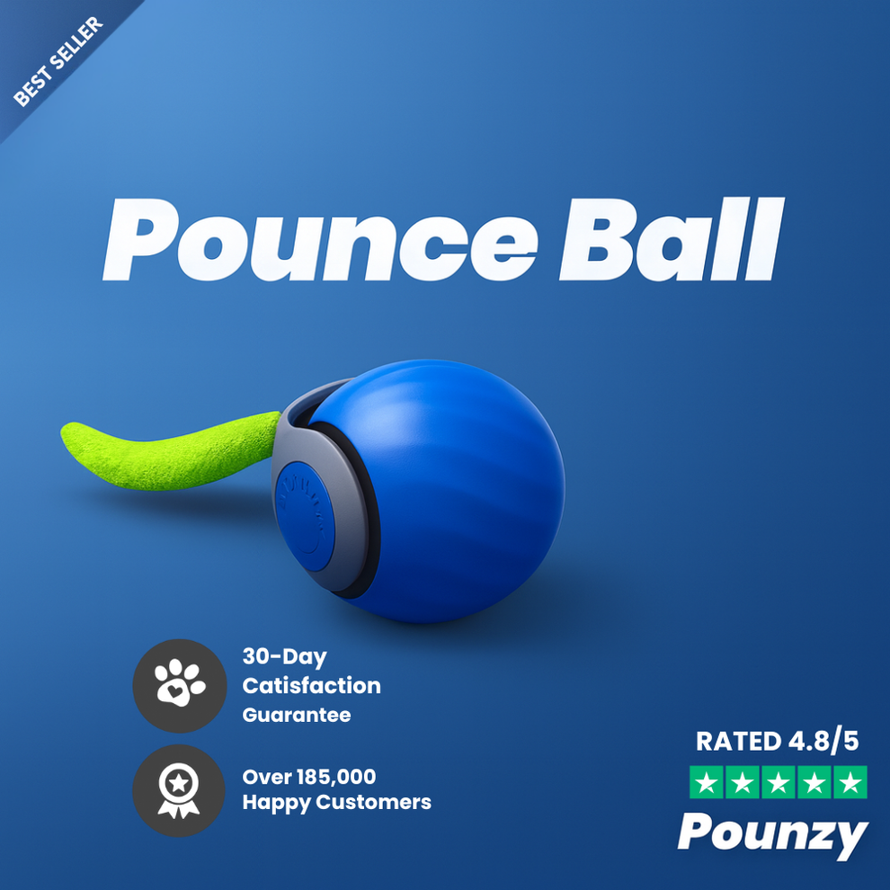 Pounzy™ Pounce Ball