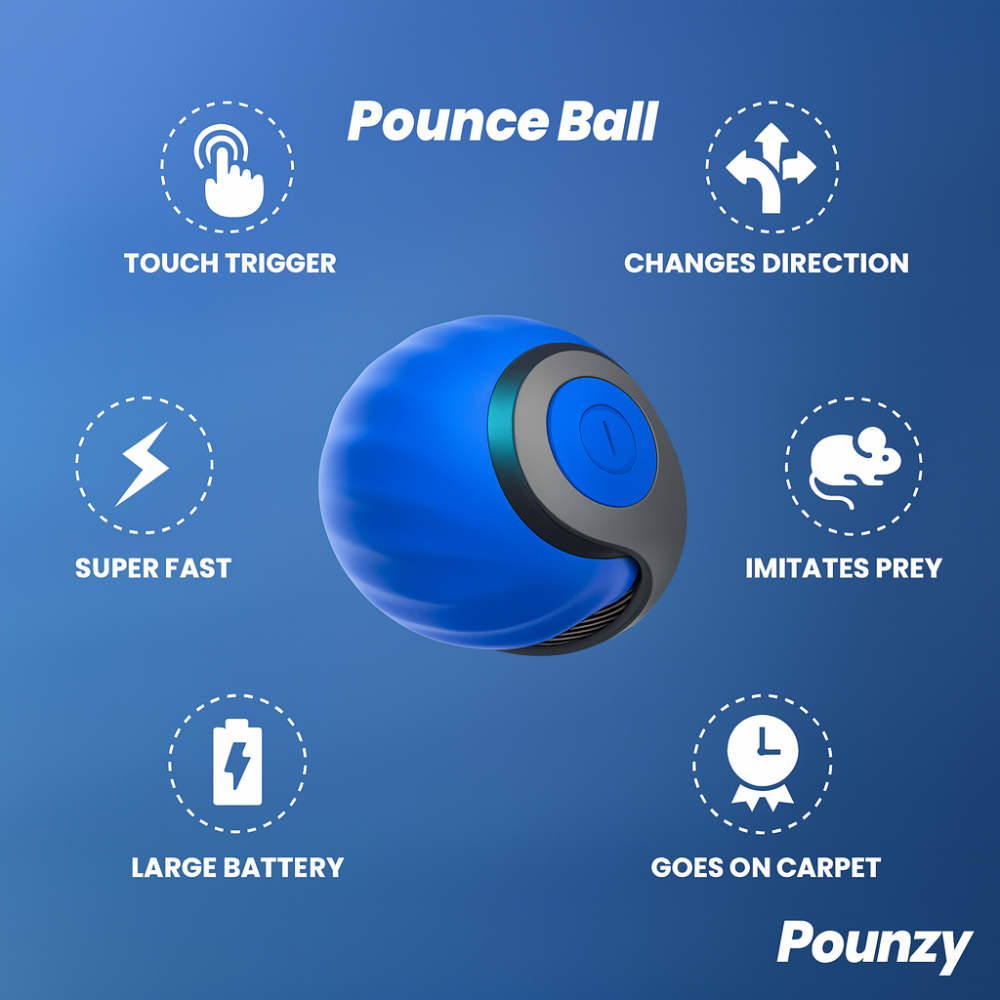 Pounzy™ Pounce Ball